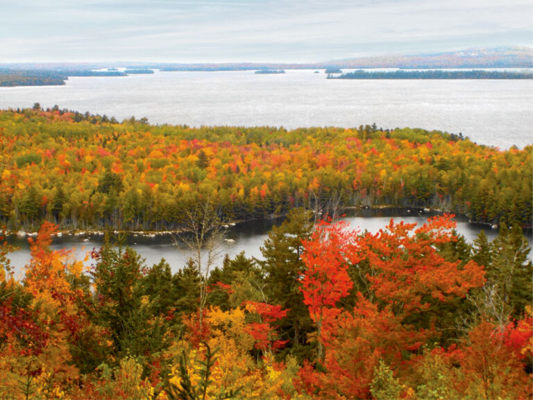DownEast Acadia: Scenic Byways to Explore in Maine